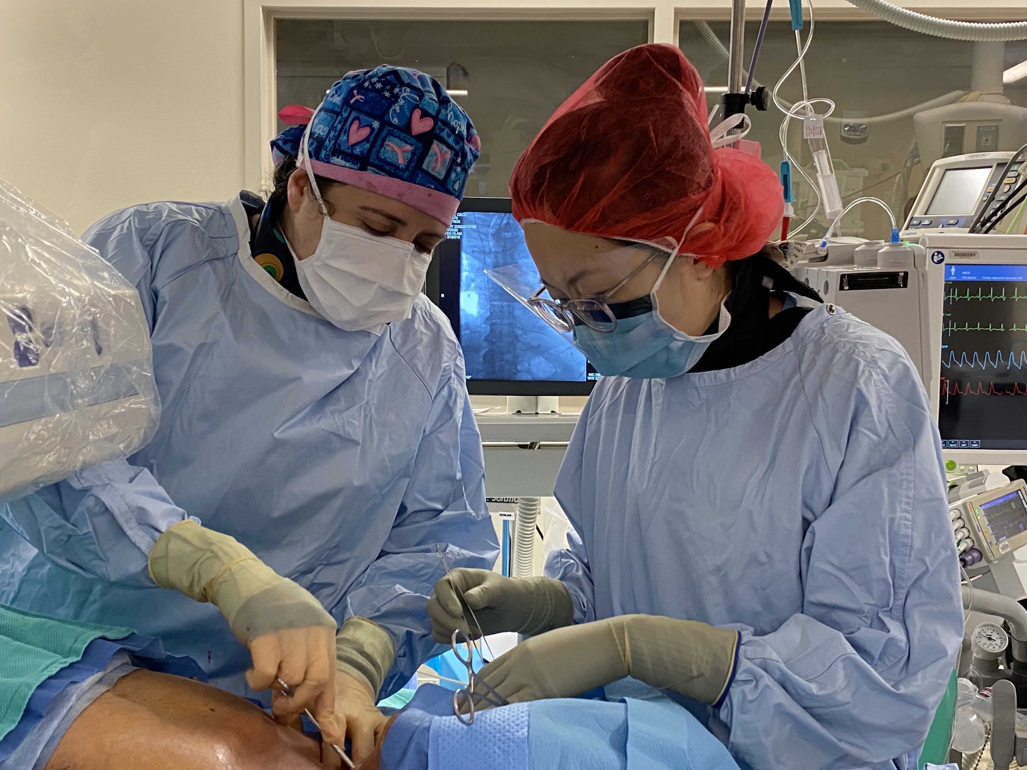 | McGovern Medical School