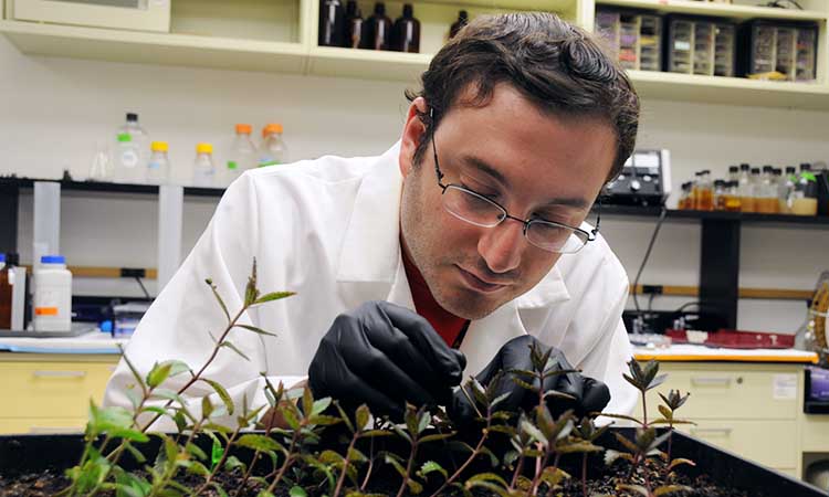 Department of Microbiology and Molecular Genetics | McGovern Medical School