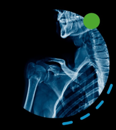 Application Development | McGovern Medical School