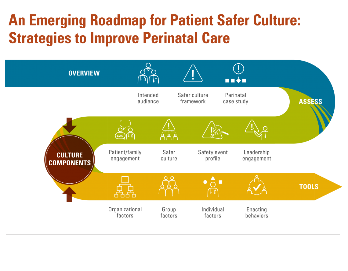 Roadmap Components | McGovern Medical School